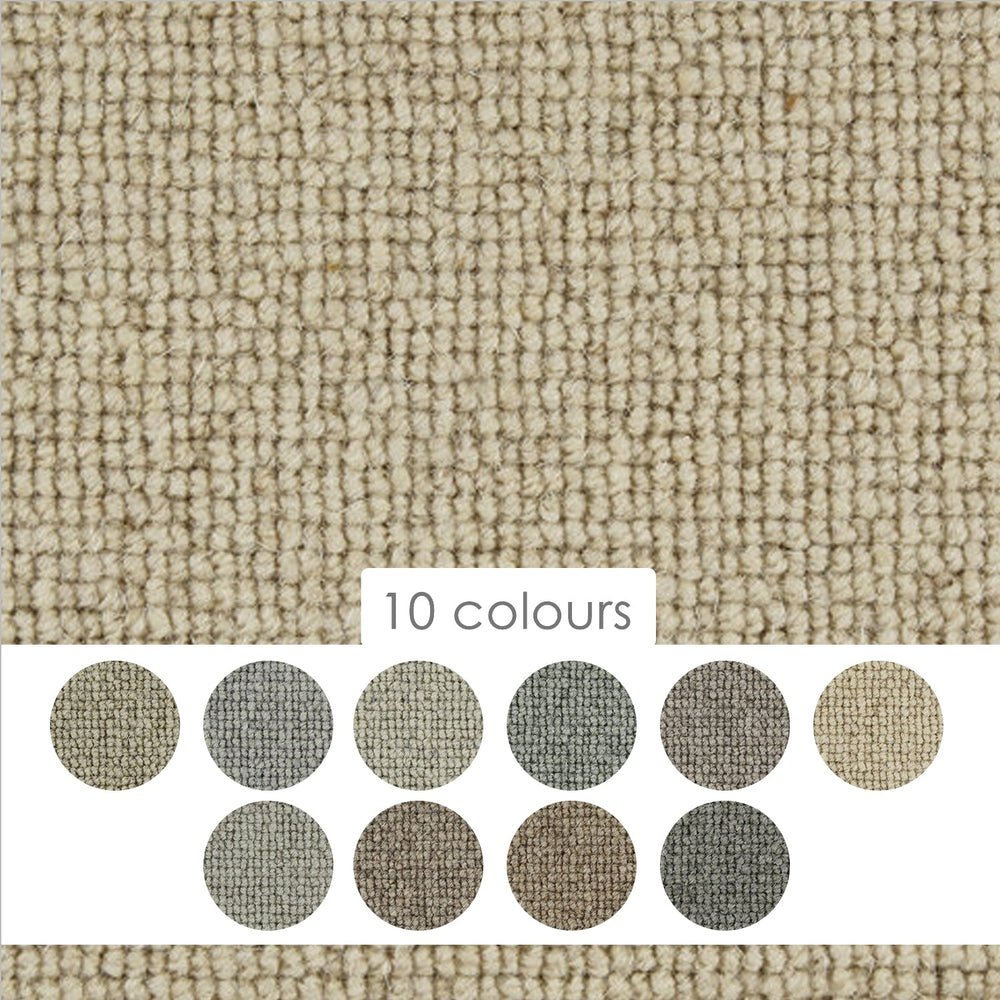 Telenzo Carpets